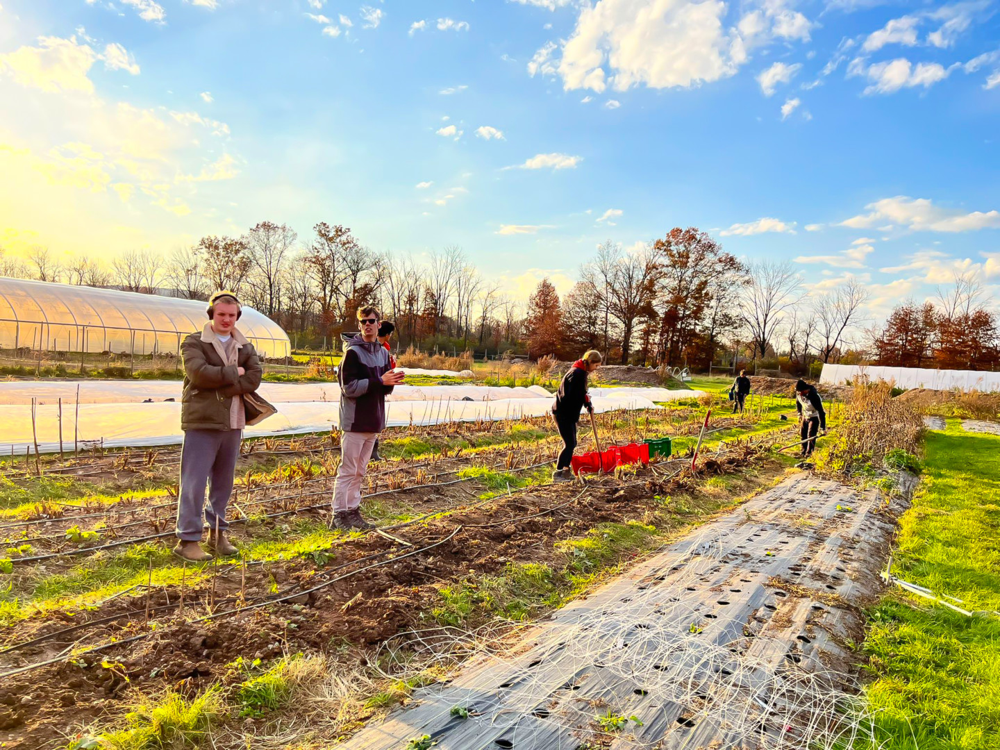 Camphill School for Children and Youth with Disabilities